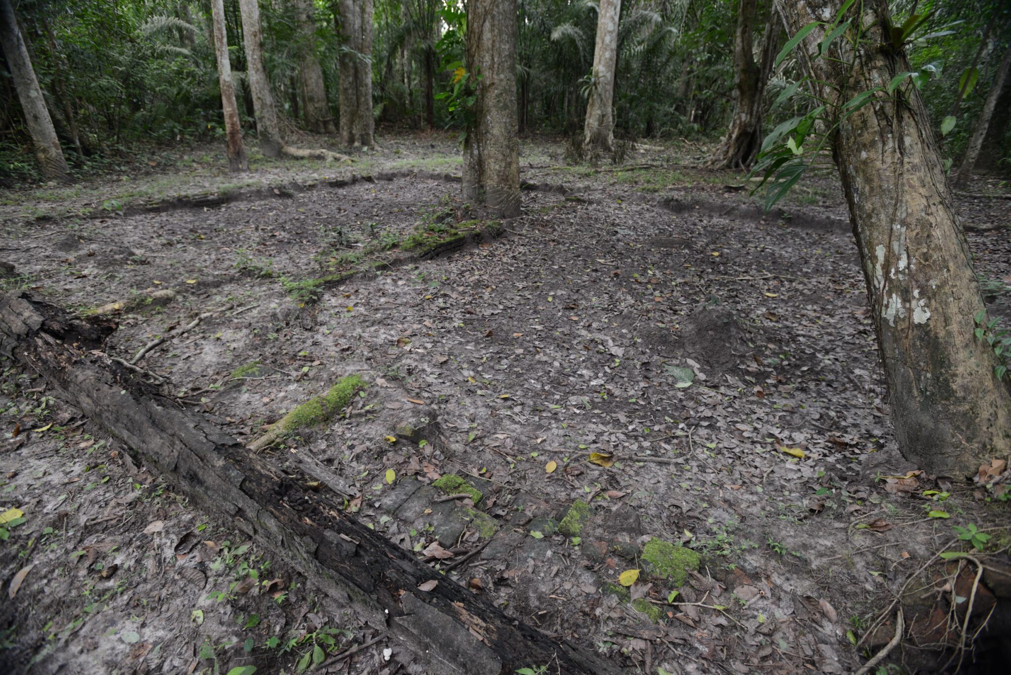 Fort Nassau – National Trust