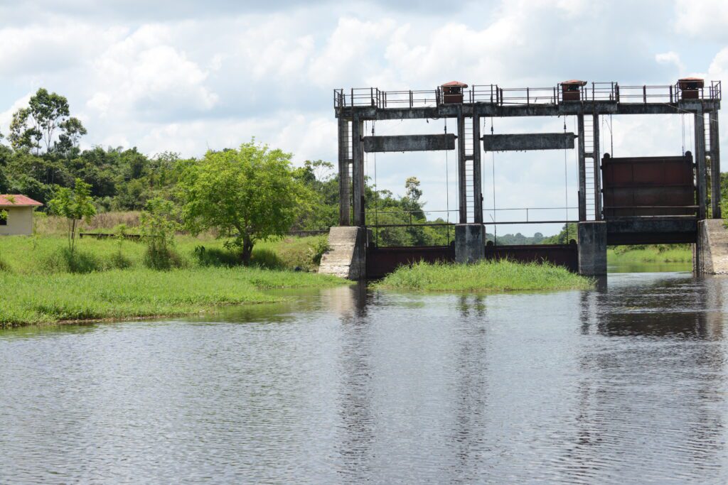 Canje River Bridge – National Trust