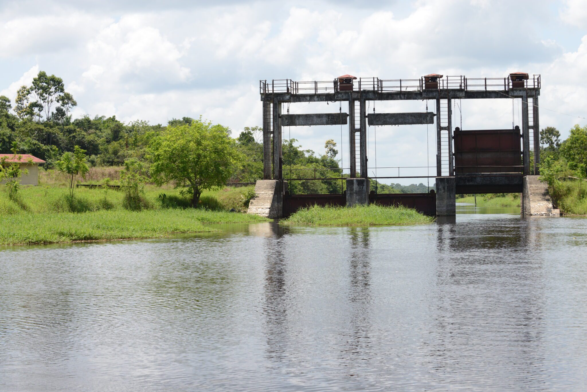 Canje River Bridge – National Trust