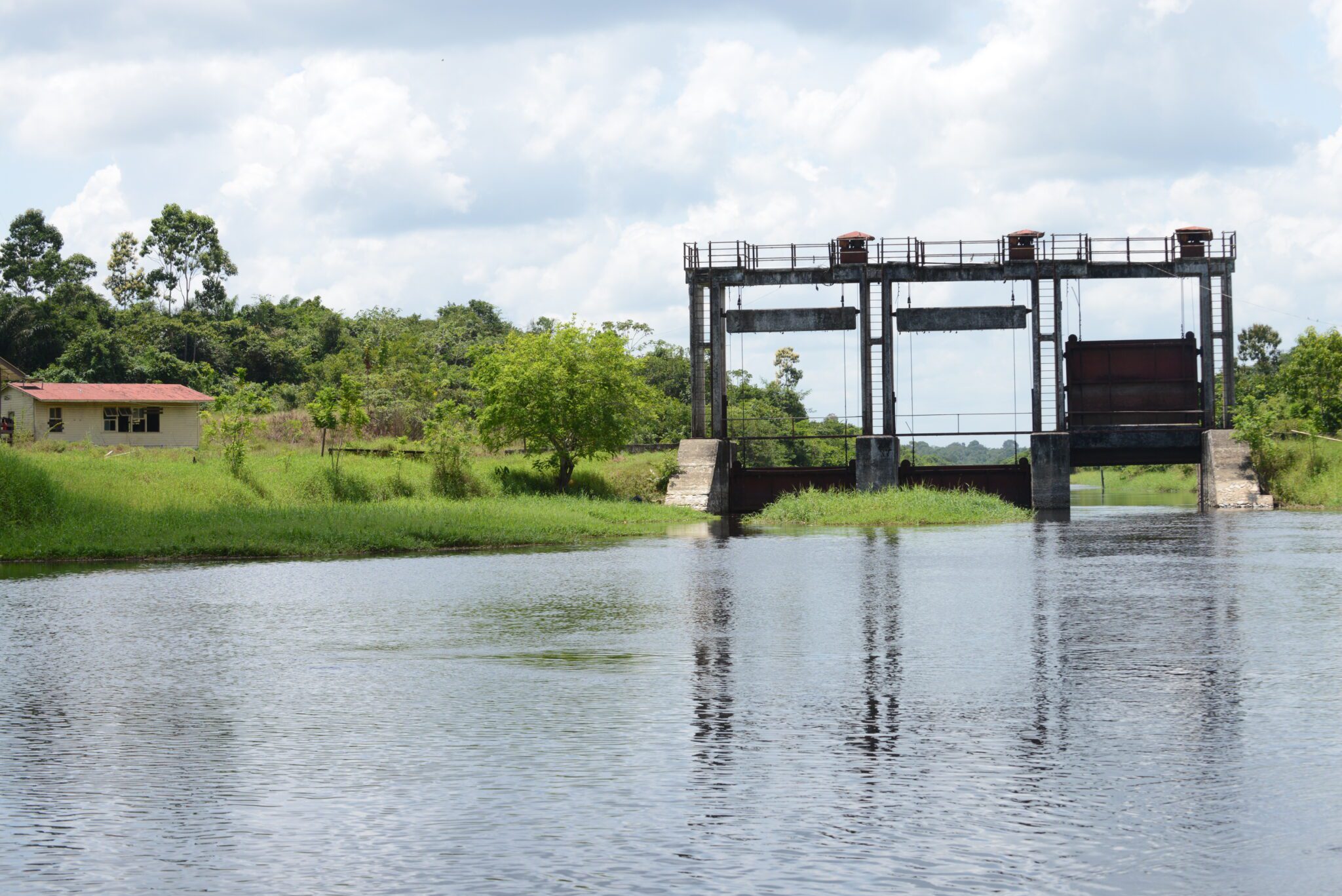 Canje River Bridge – National Trust