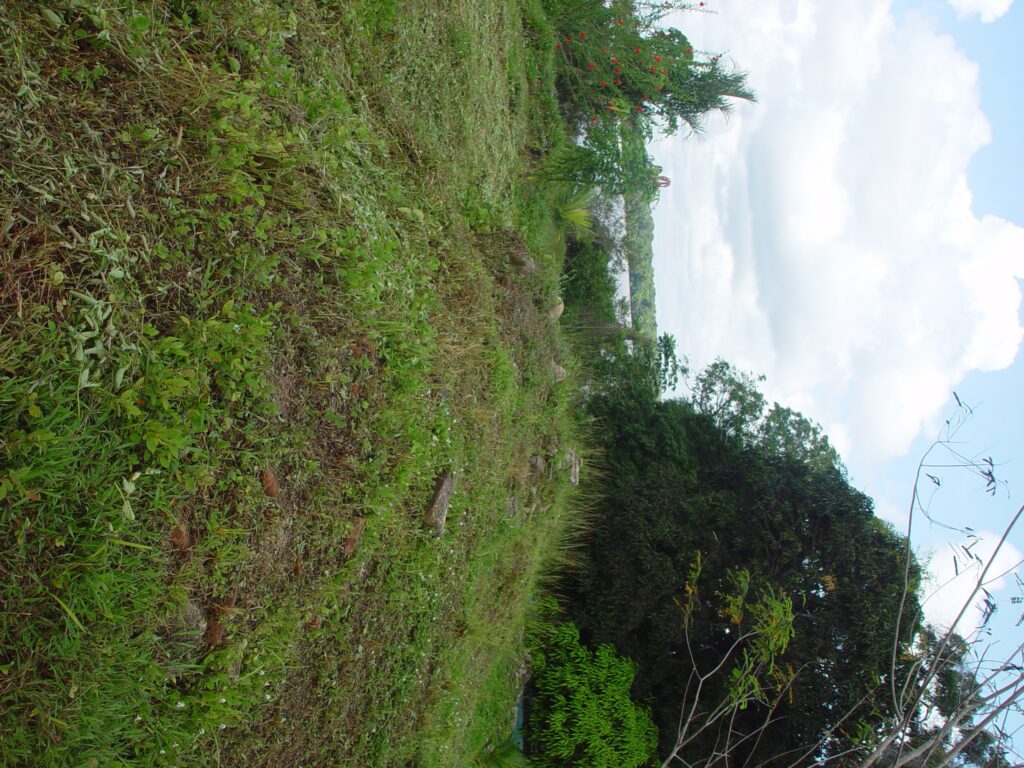 Fort Kyk-Over-Al – National Trust