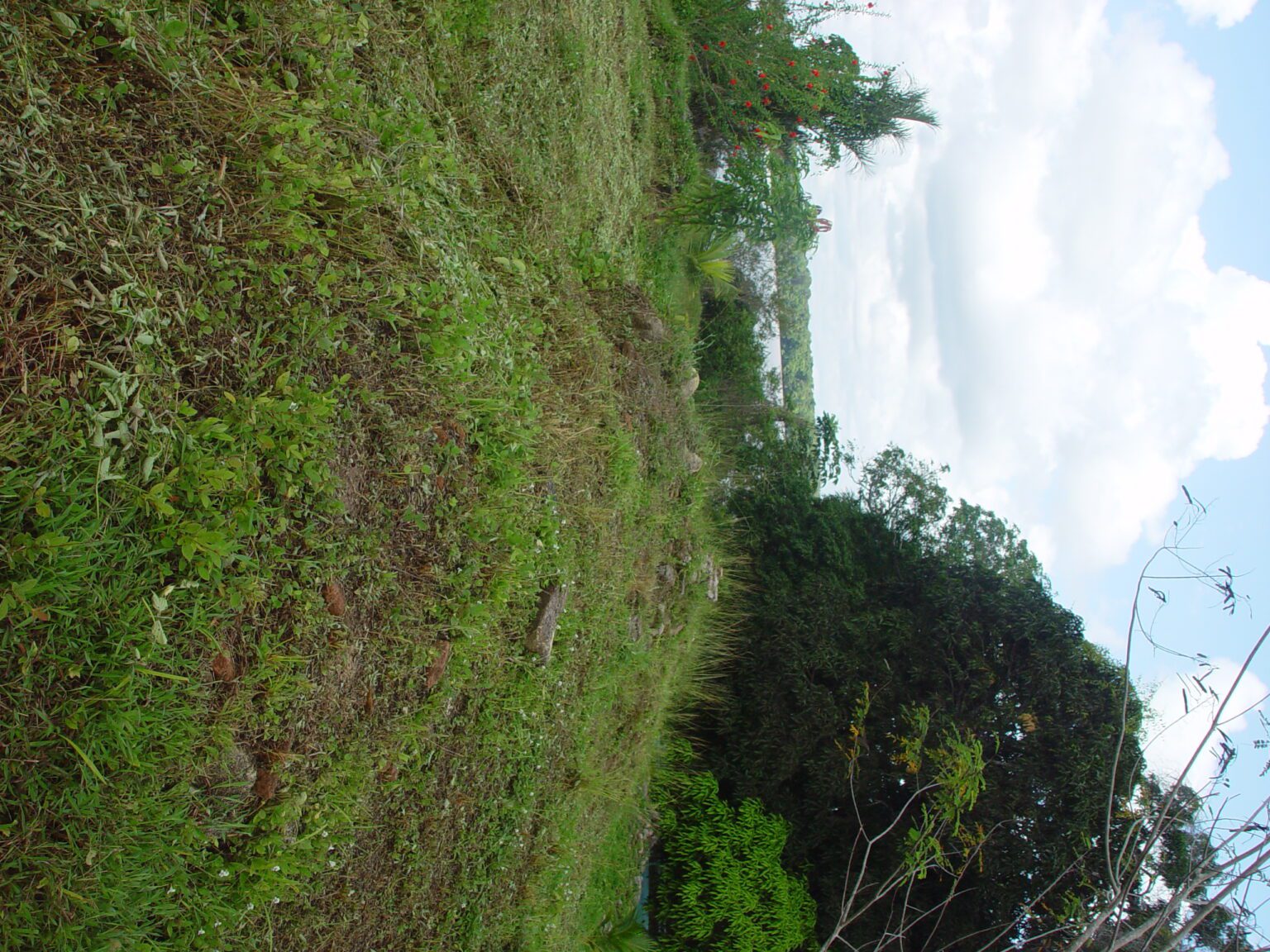 Fort Kyk-Over-Al – National Trust