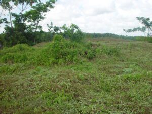 Fort Kyk-Over-Al – National Trust