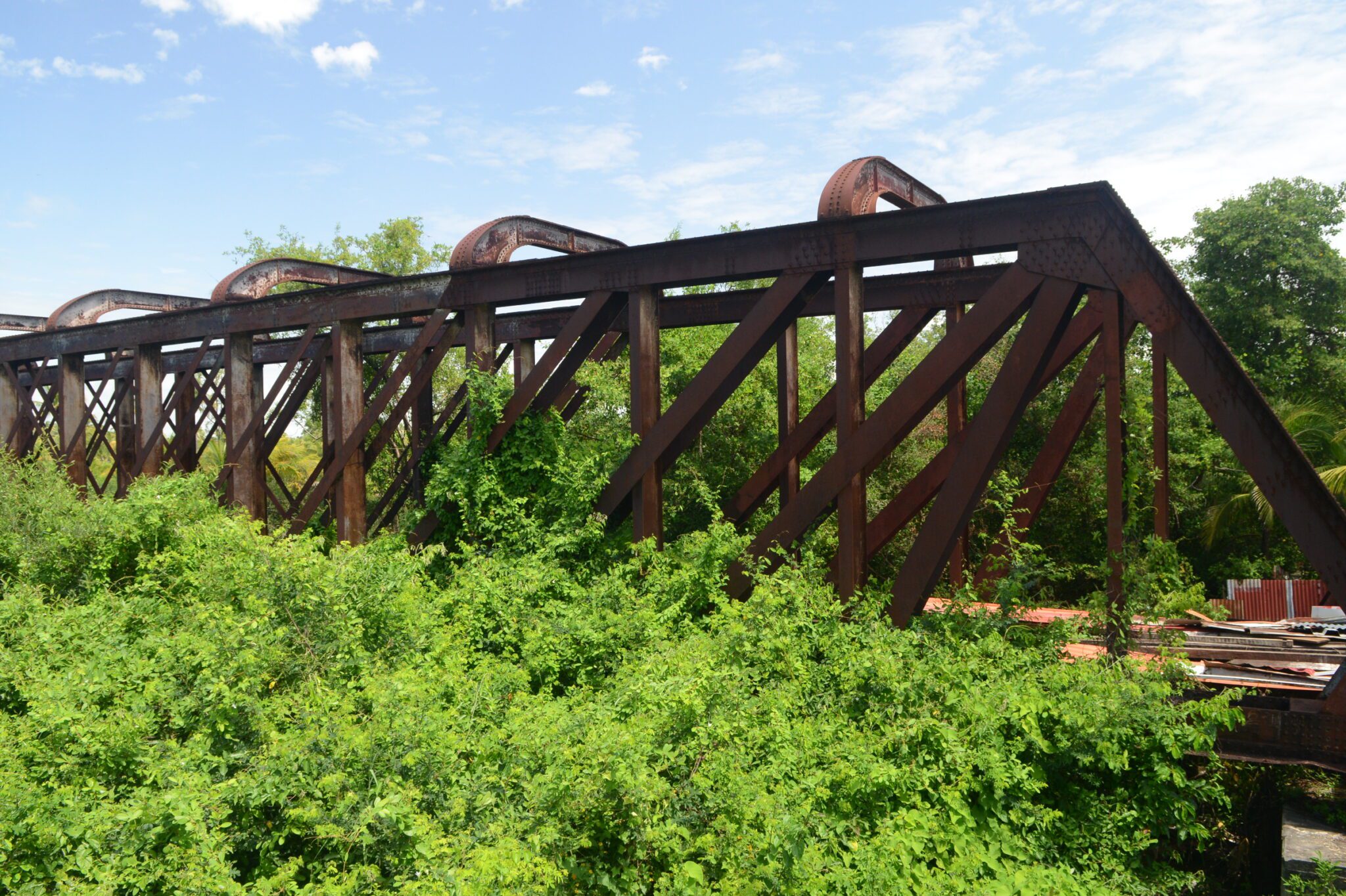 Mahaica Old Railway Bridge – National Trust